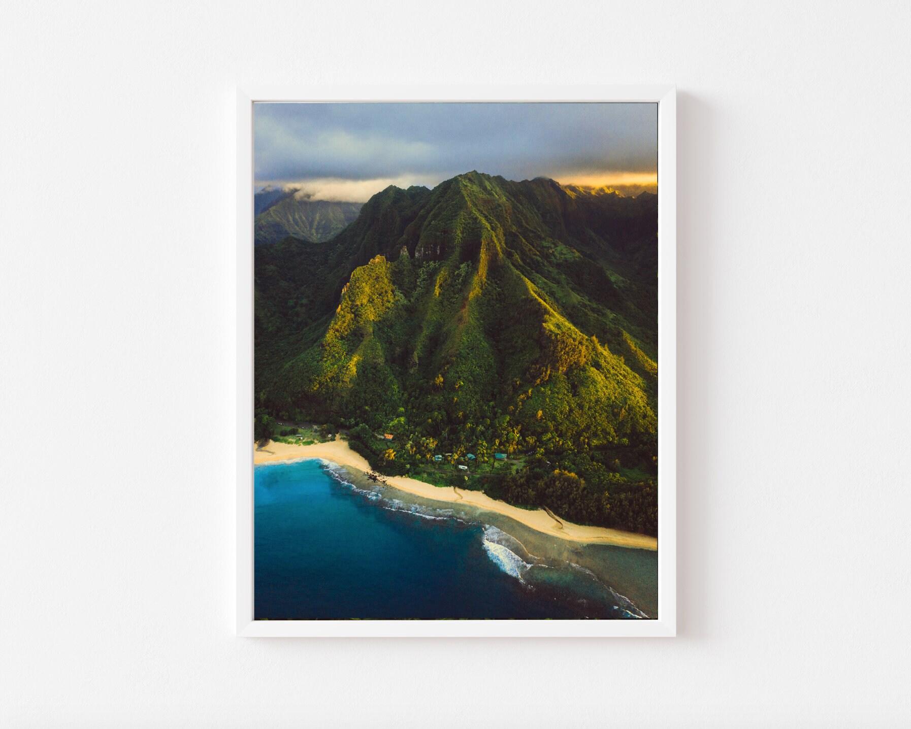 Jungle Print Tropical Leaf Print Palm Tree Print GALLERY - Etsy