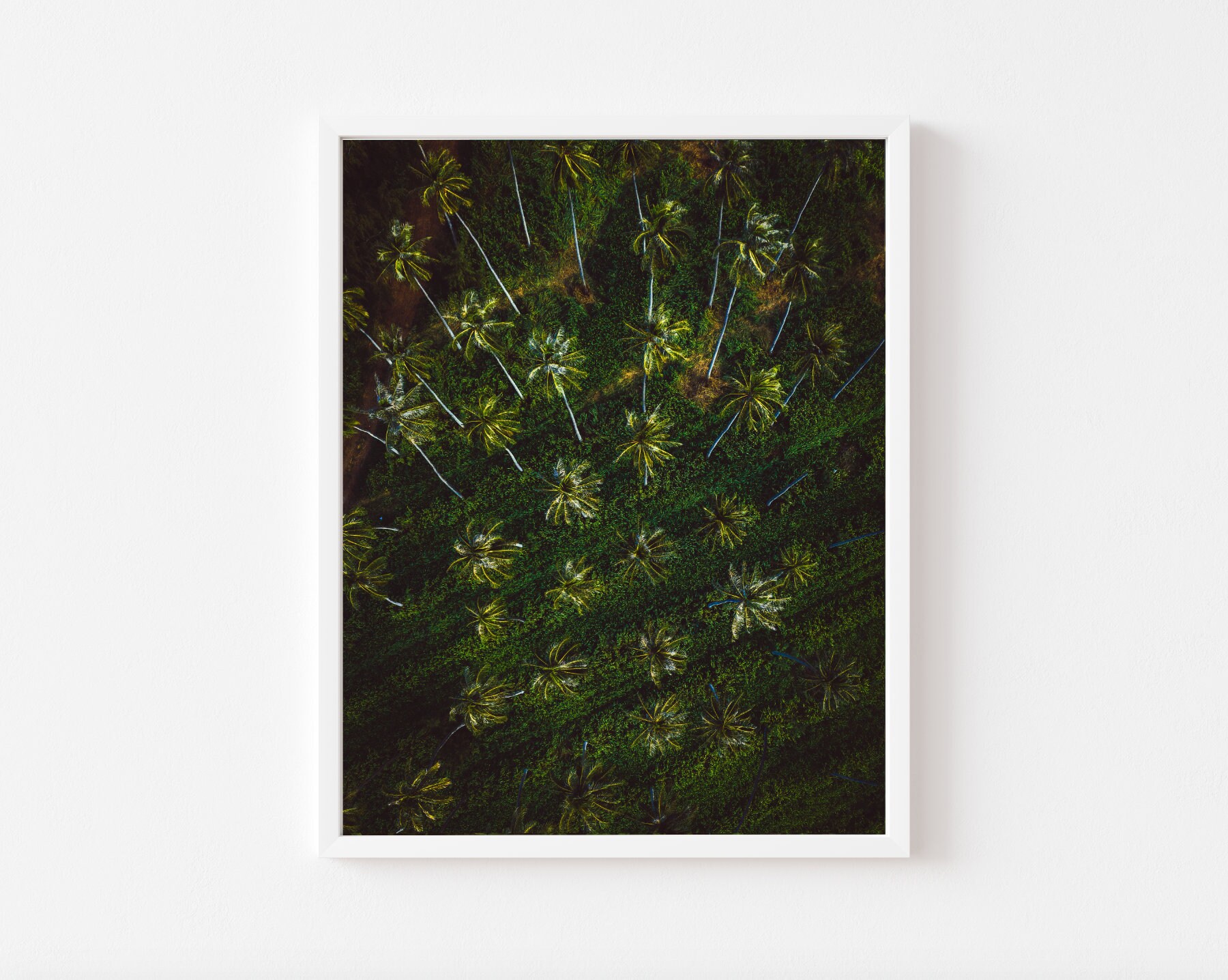 Jungle Print Tropical Leaf Print Palm Tree Print GALLERY - Etsy