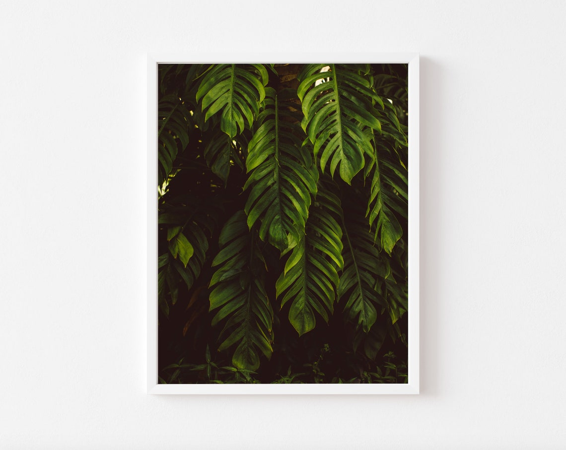 Jungle Print Tropical Leaf Print Palm Tree Print GALLERY - Etsy