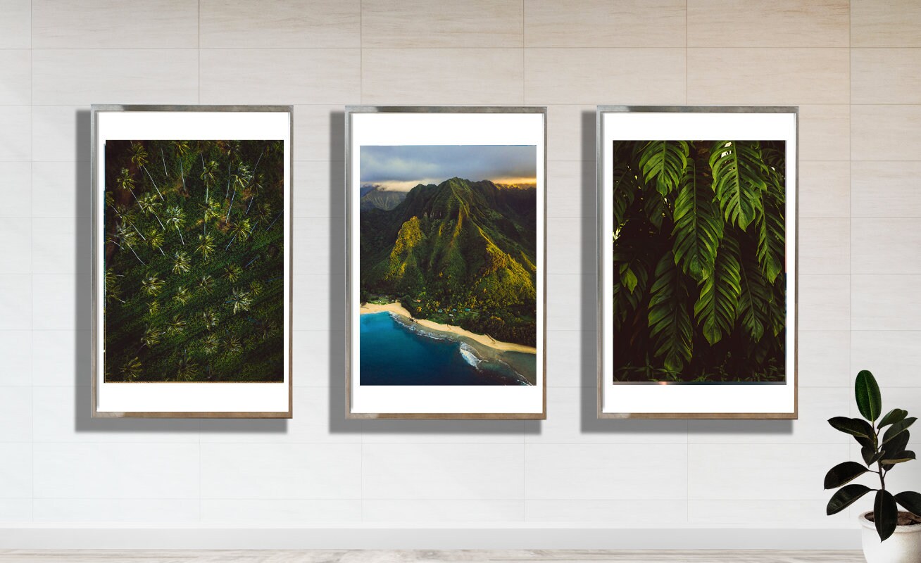 Jungle Print Tropical Leaf Print Palm Tree Print GALLERY - Etsy