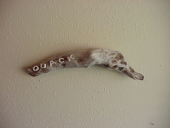 Driftwood Duck Head Shaped With QUACK Word Lettering Home | Etsy