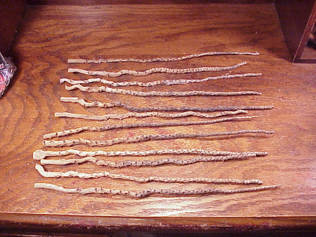 Lot of 12 Knotty Twisted Large Wood Twigs, About 13 1/4 Inches Long ...