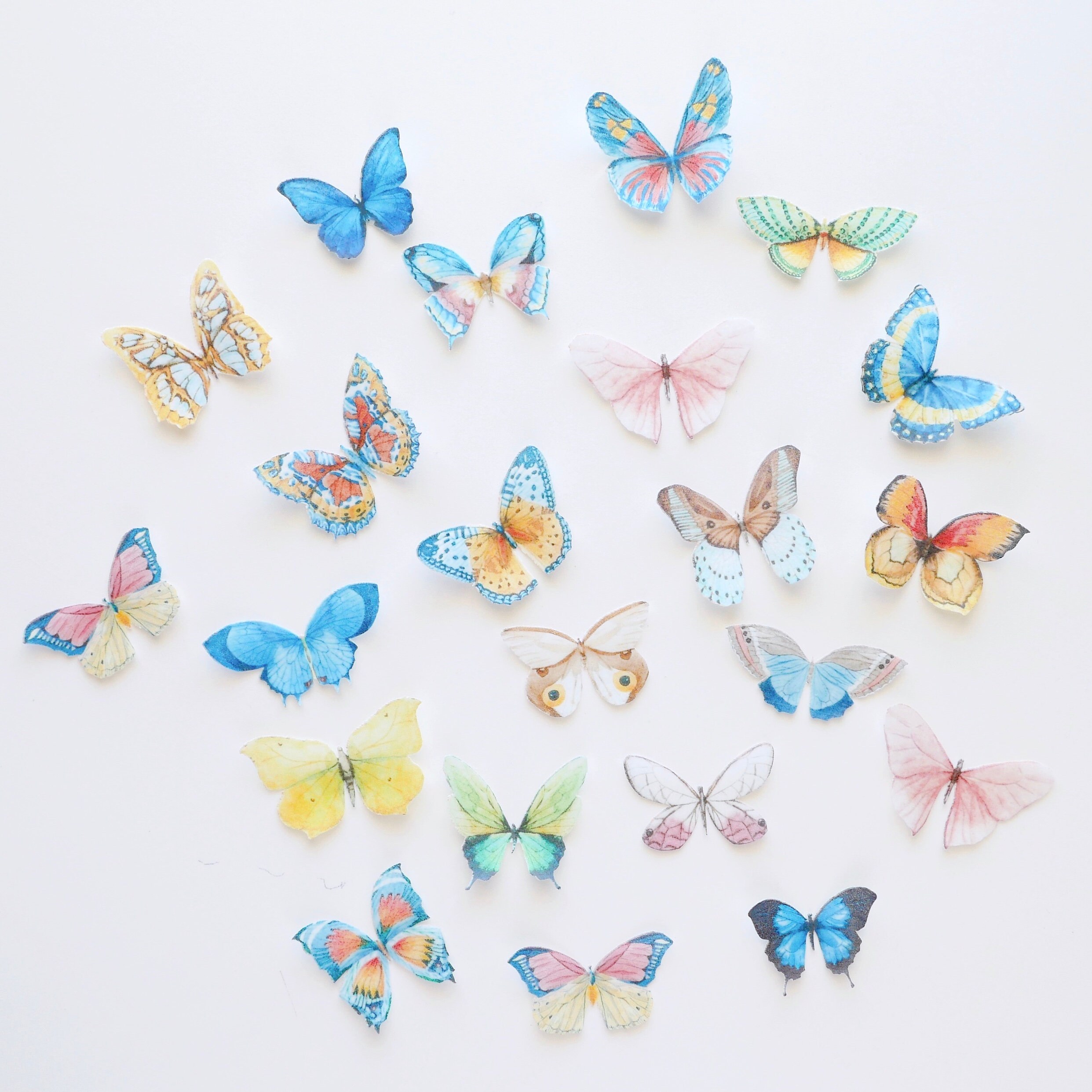 Edible Pre-cut Wafer Butterfly - Etsy