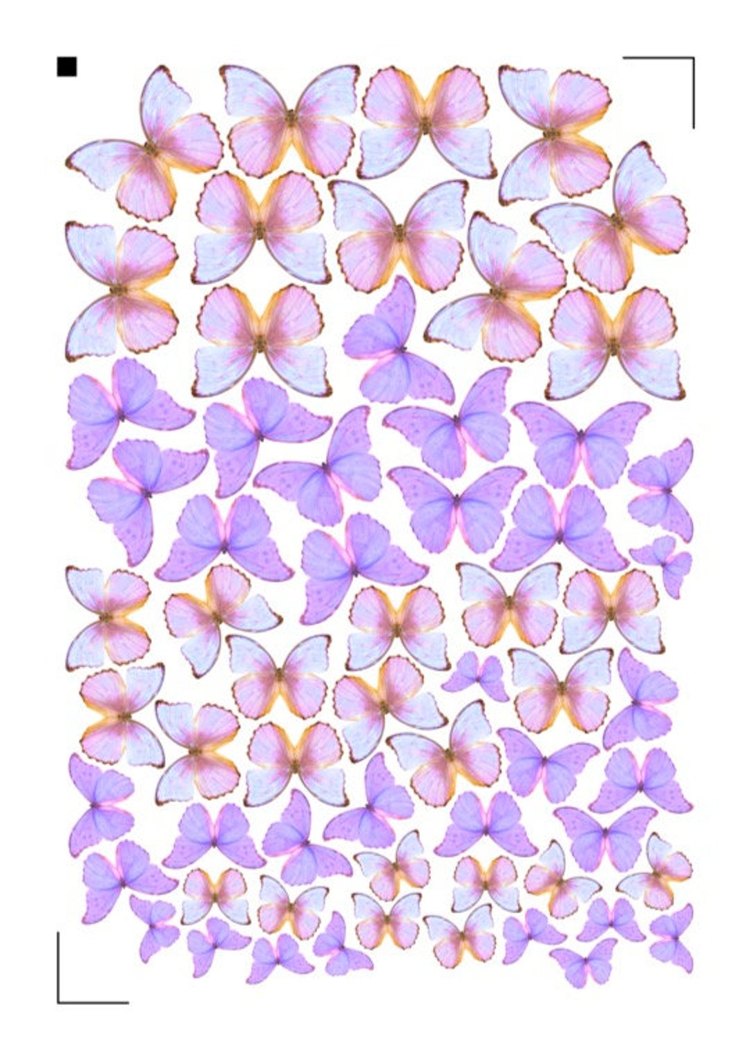 Pack of 63, 2-4cm Edible Pre-cut Wafer Butterfly - Pink and Purple ...
