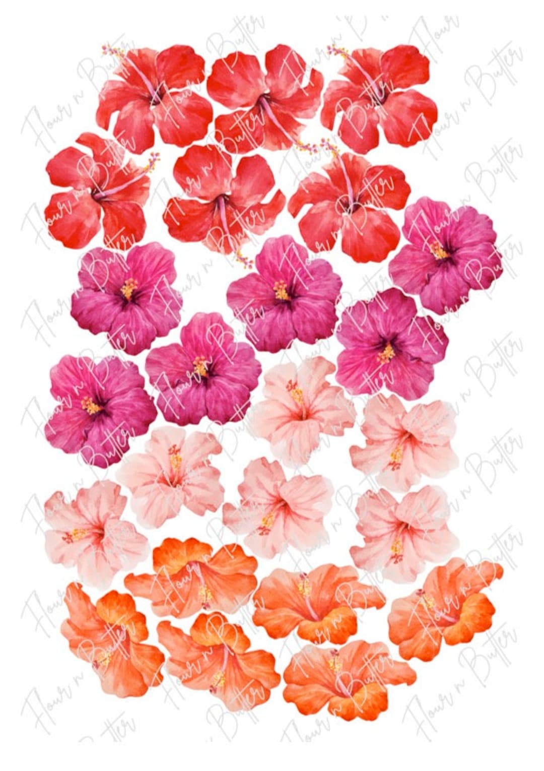 Pack of 24, 4.5cm Pre-cut Edible Wafer Hibiscus Flower, Edible Wafer ...