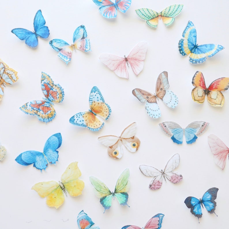 Edible Pre Cut Wafer Butterfly Etsy