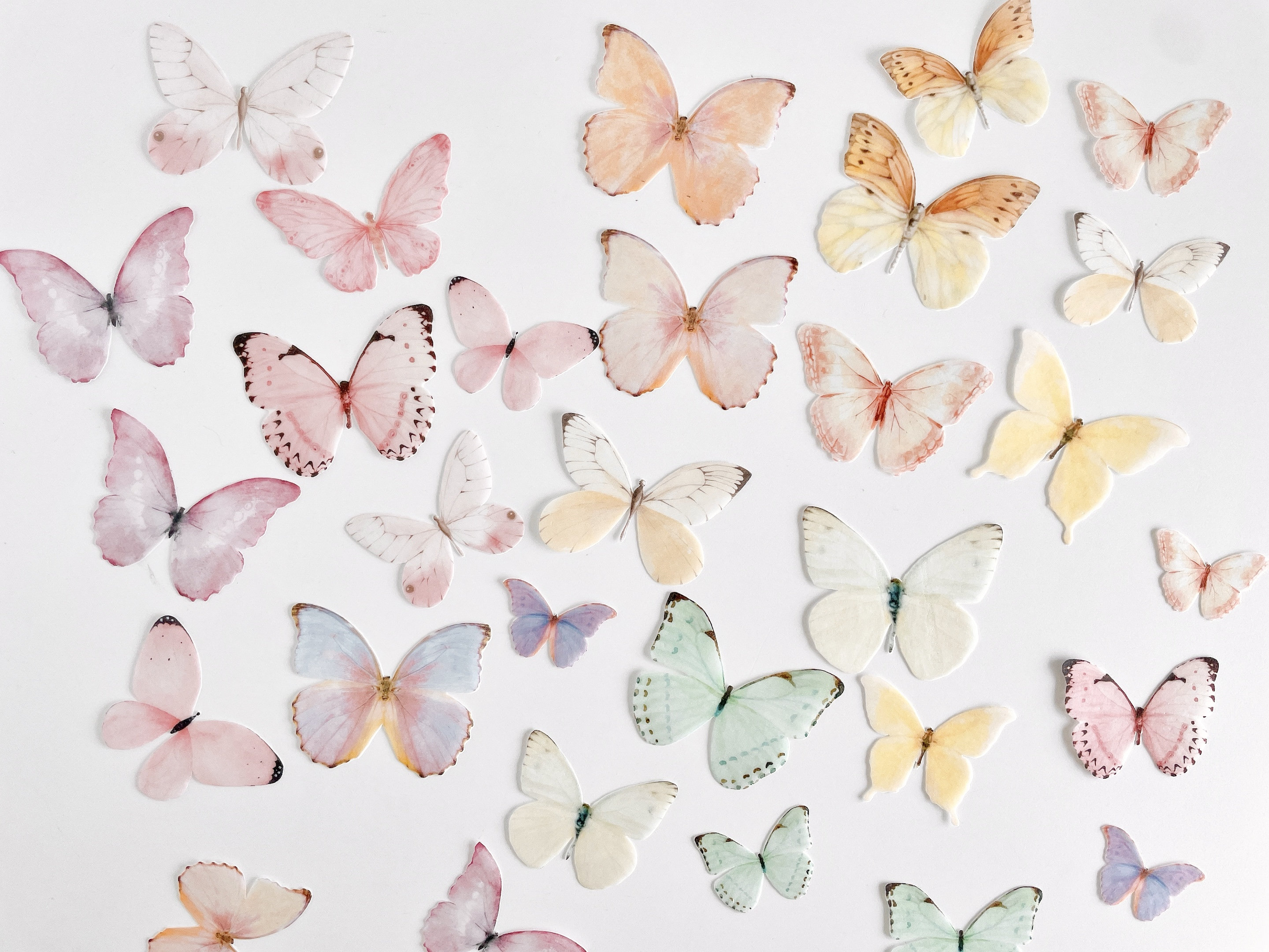Pack of 32 3-5cm Pre-cut Edible Wafer Paper Butterfly - Etsy