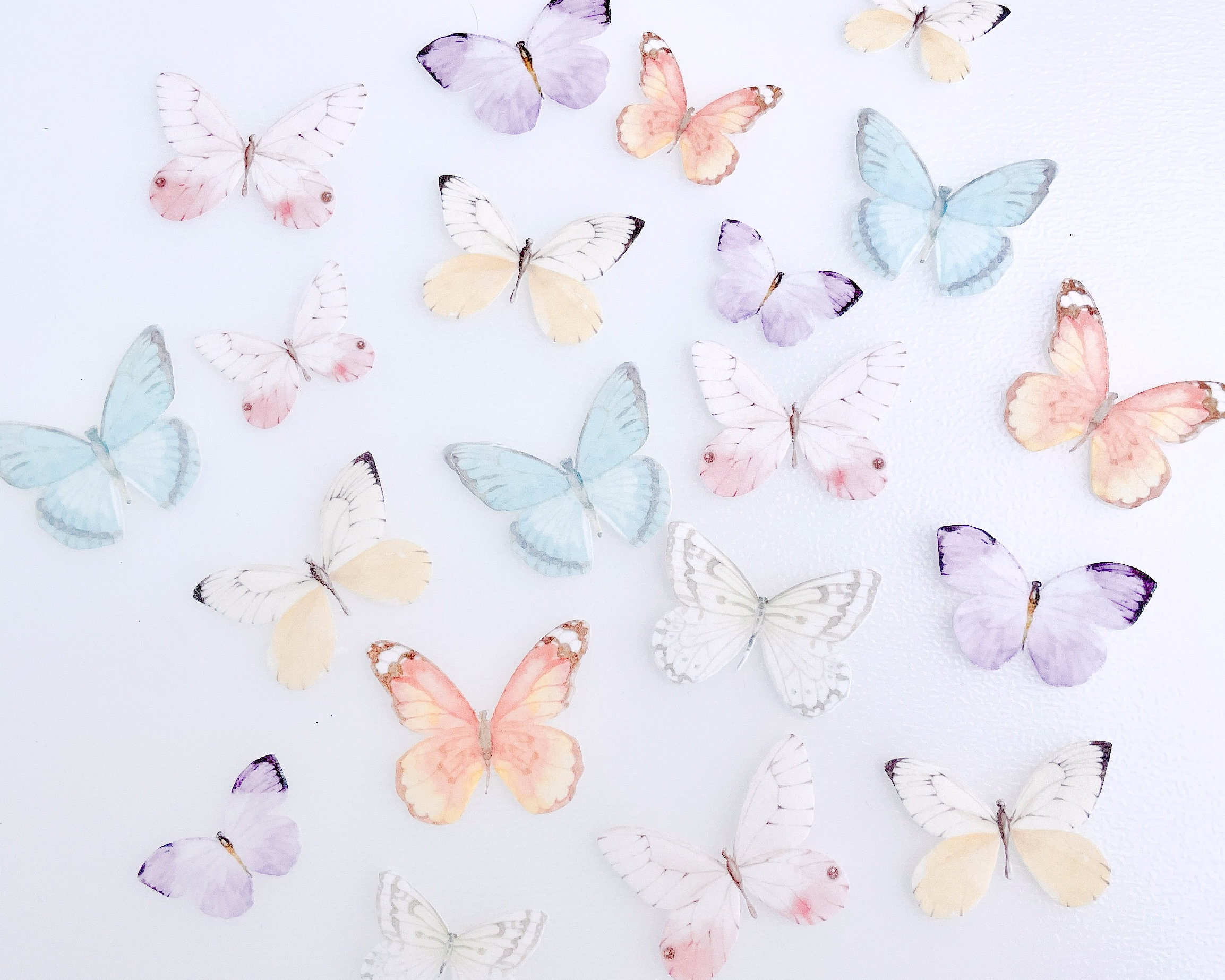 Edible Pre-cut Wafer Butterfly Assorted Pastel Colour - Etsy
