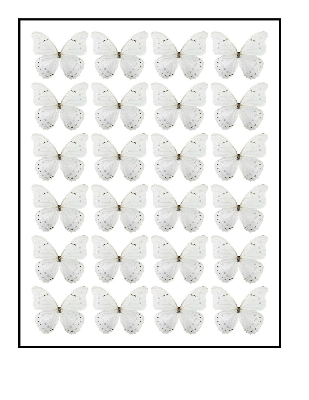 Edible Pre Cut Wafer Butterfly White Etsy Canada