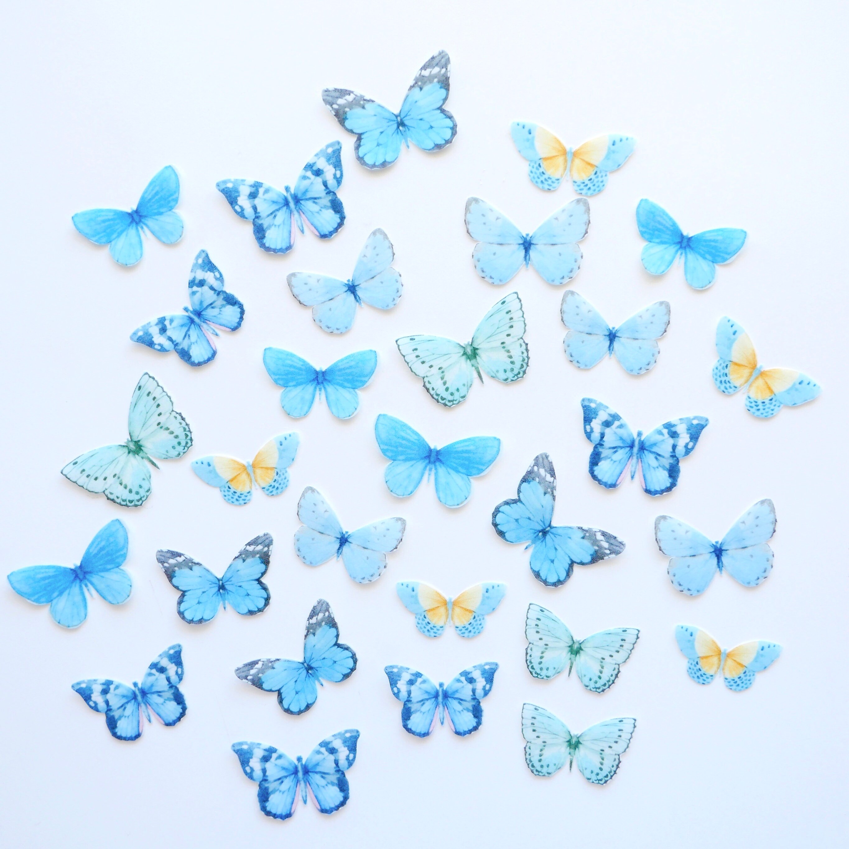 Edible Pre-cut Wafer Butterfly - Blue - Etsy