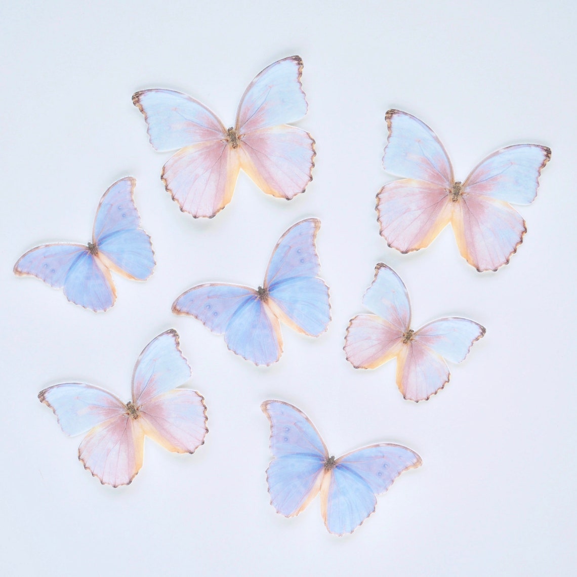 Edible Pre-cut Wafer Butterfly Large Pink and Purple - Etsy