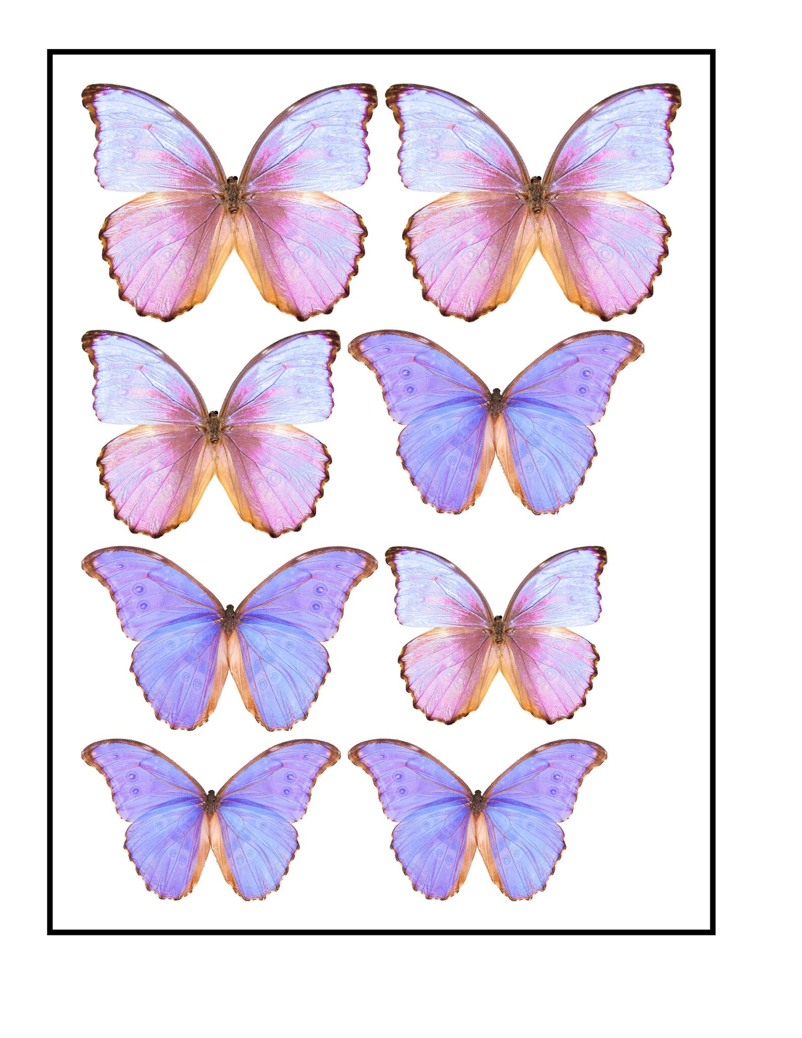 Edible Pre-cut Wafer Butterfly Large Pink and Purple - Etsy