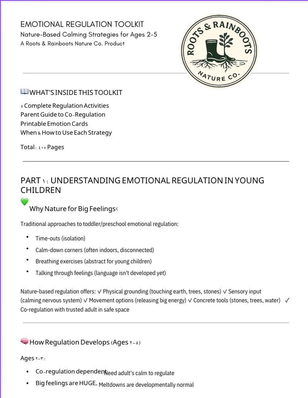 EMOTIONAL REGULATION TOOLKIT - Etsy