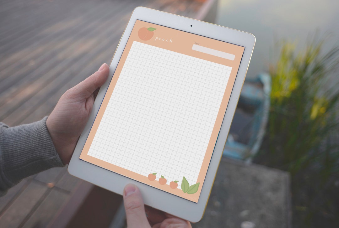 Peach Cute Grid Memo Digital Download for Printable and Goodnotes - Etsy
