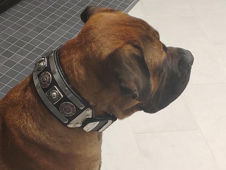 Knight dog collar | Etsy