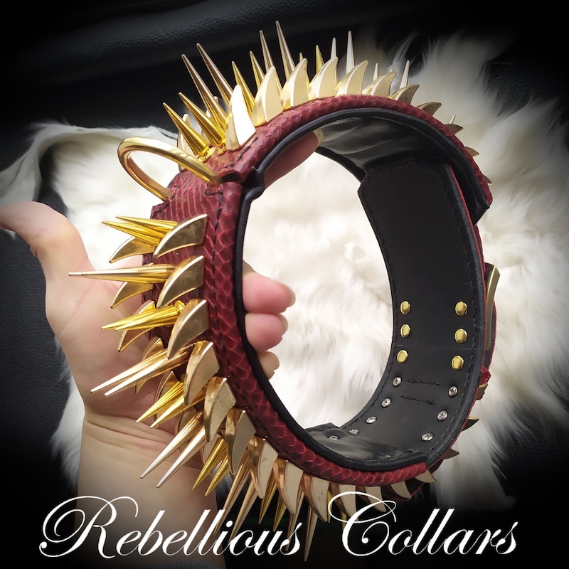 Dog Spike Collars - Etsy