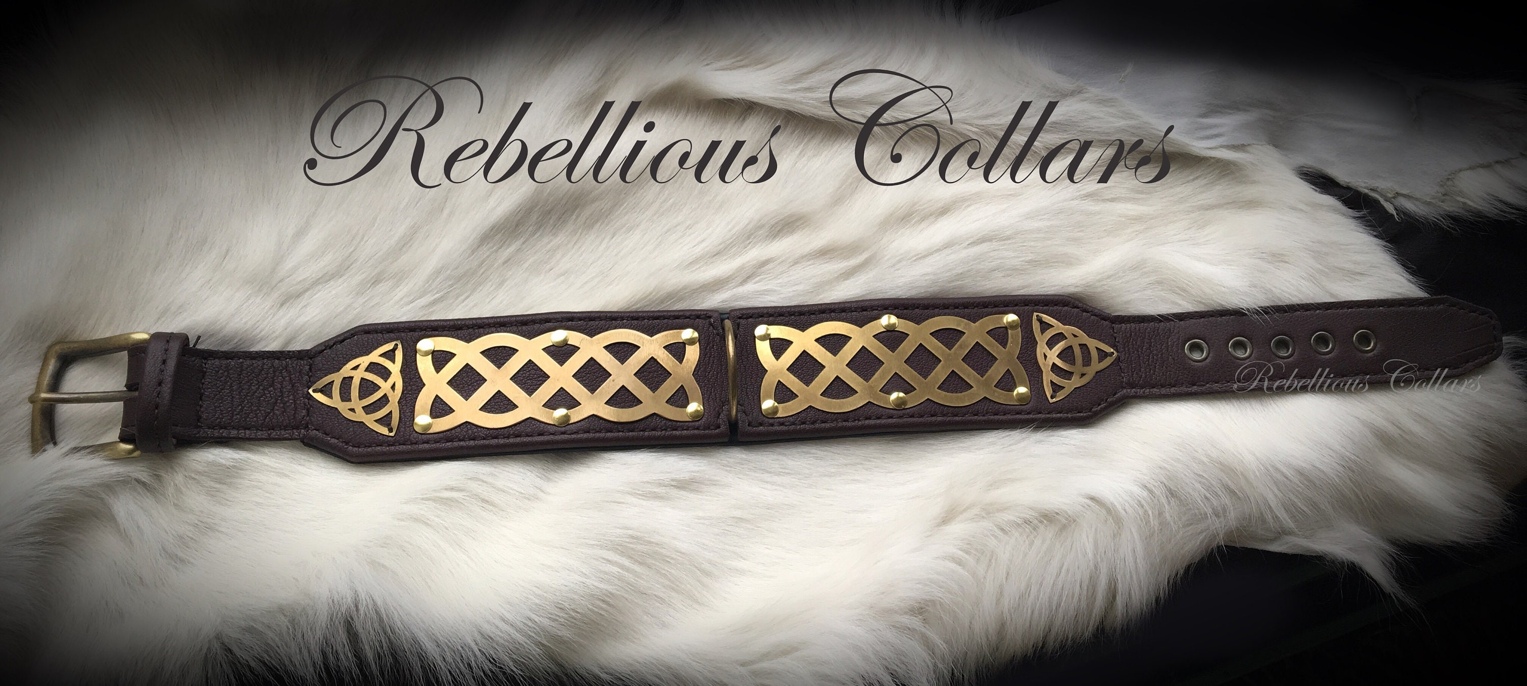 Celtic Collar Leather dog collar with brass | Etsy