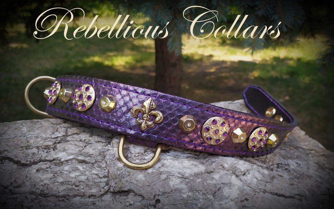 Purple Royal Dog Collar, Python - Etsy