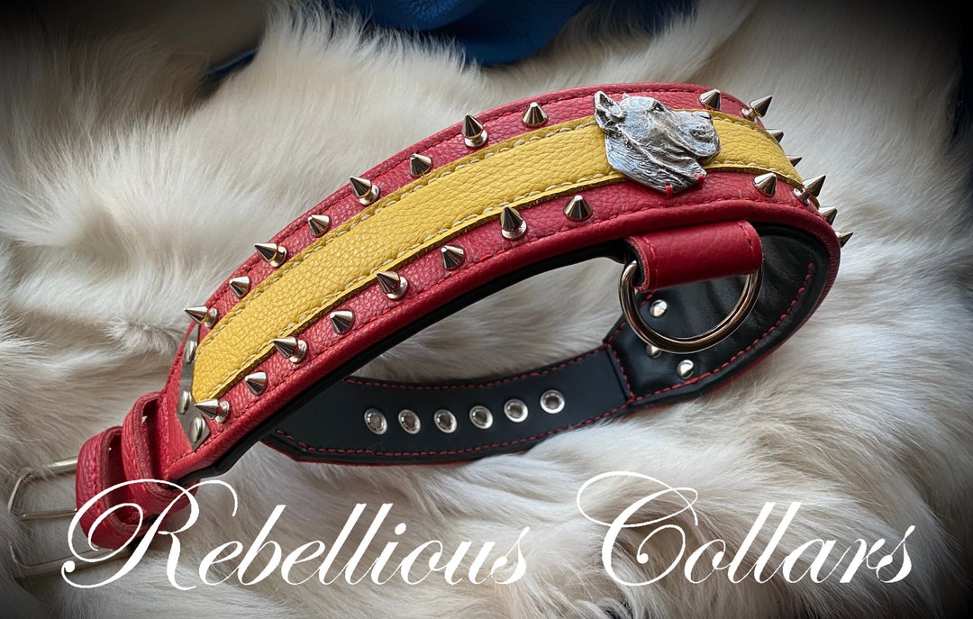Presa Canario, Dogo Canario Collar, Collar With Spikes - Etsy