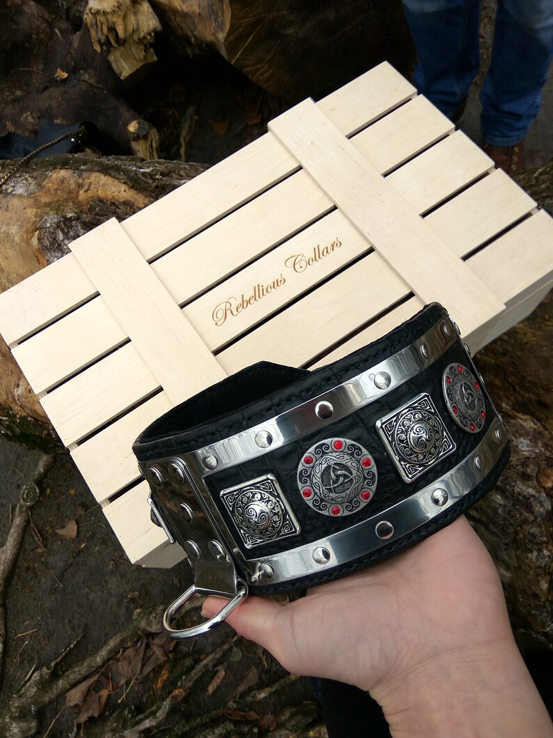 Knight dog collar | Etsy