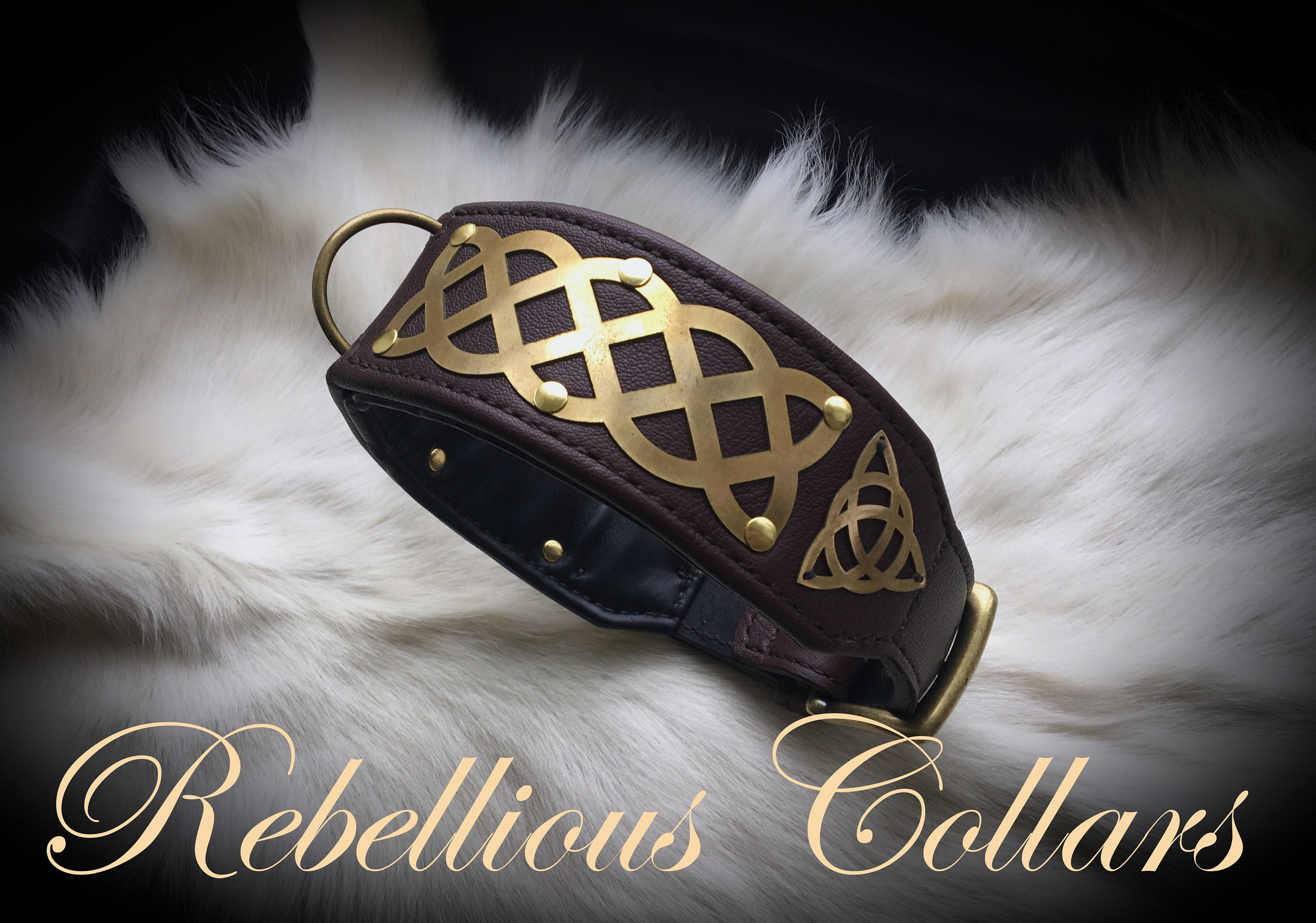 Celtic Collar Leather dog collar with brass | Etsy