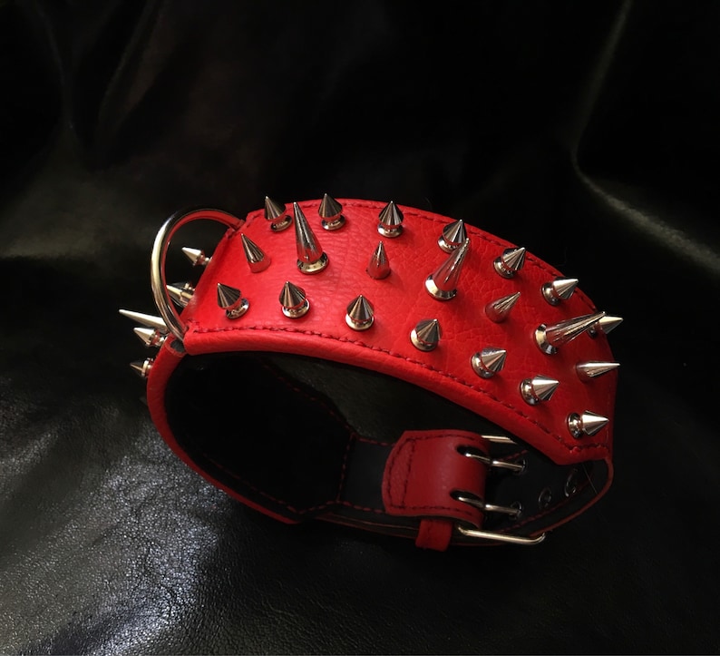 Spiked Leather Dog Collar - Etsy
