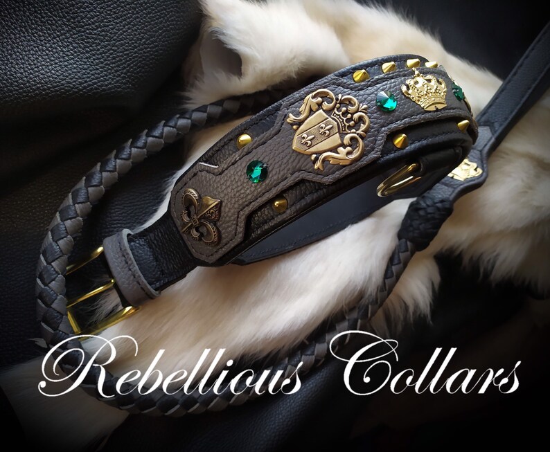 Leather Dog Collar kings Defender - Etsy