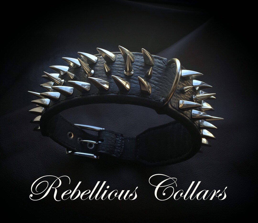 Spiked Leather Dog Collar - Etsy