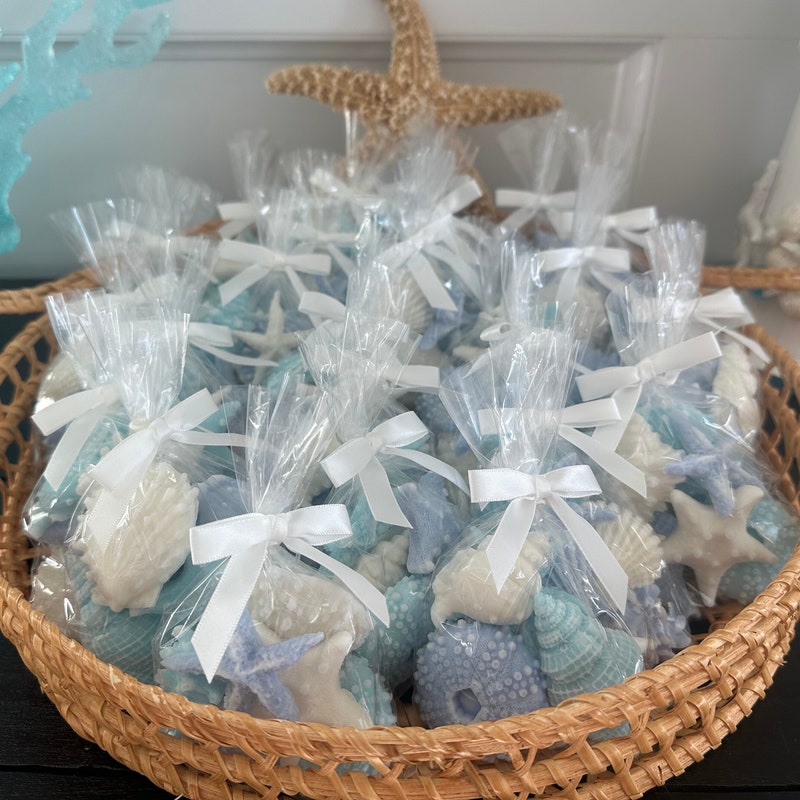 Seashell Favors - Etsy