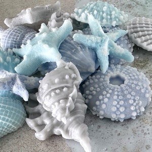 Mini Soaps, Seashell Shaped Soap, Goat Milk Soap, Housewarming Gift for ...