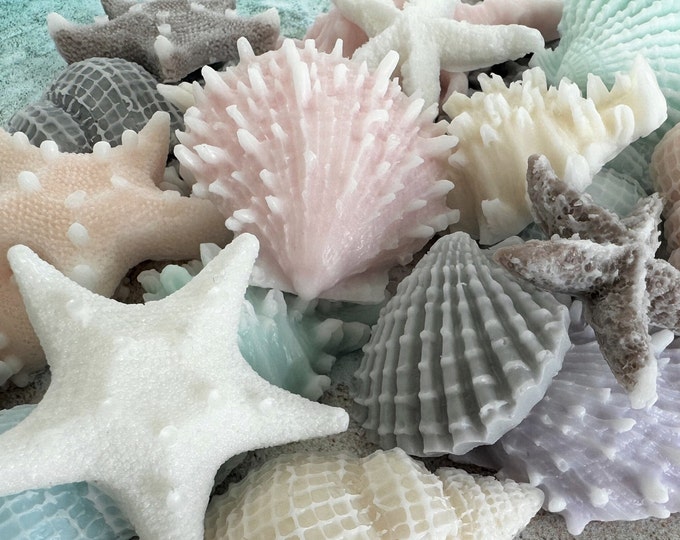 Sand Dollar Soap Seashell Soap Beach Soap Beach House Soap - Etsy