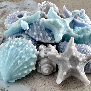 Mini Soaps, Seashell Shaped Soap, Goat Milk Soap, Housewarming Gift for ...