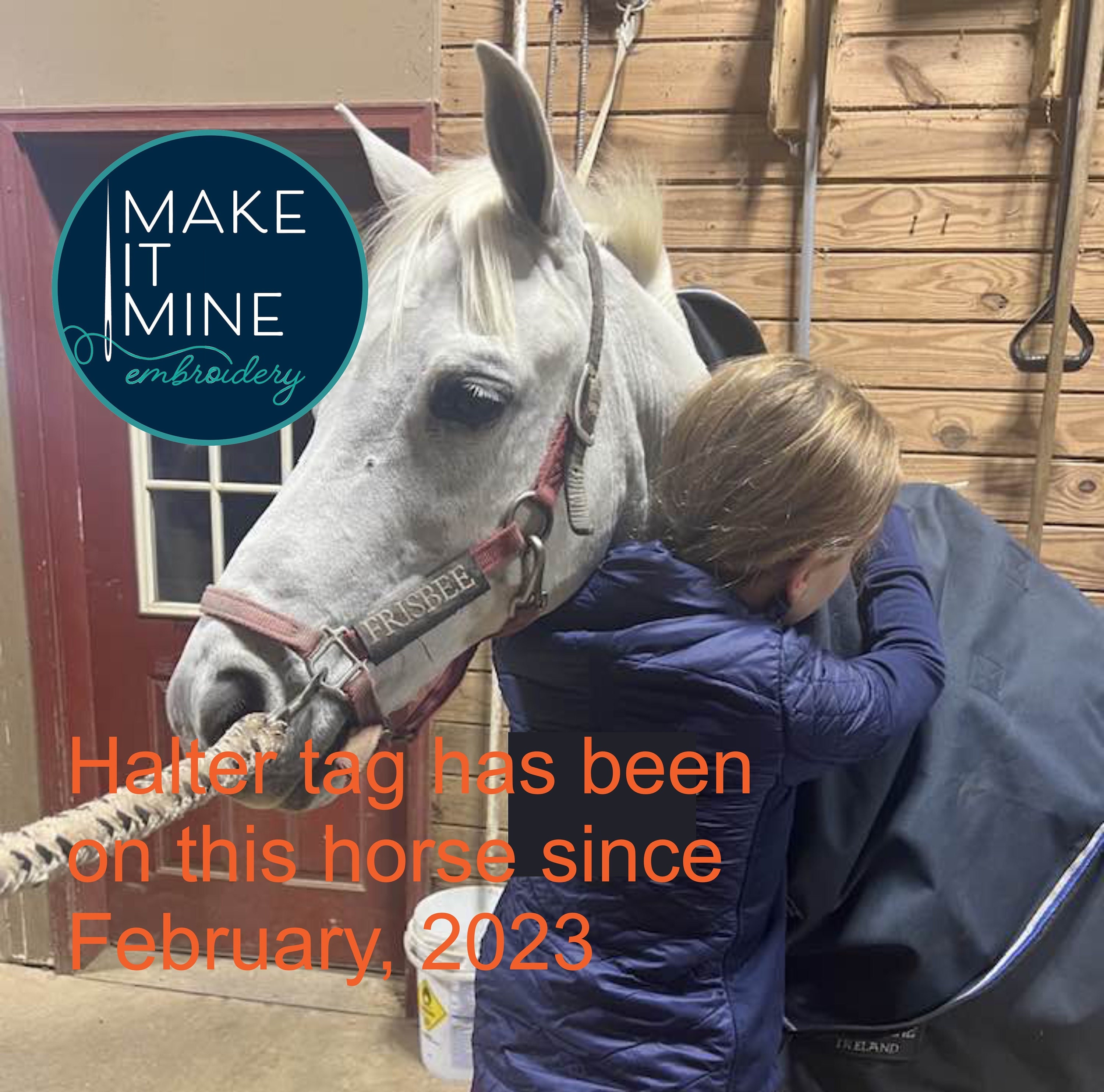 Halter Tag Wrap Horse Halter Name Tag ID Identification Tag - Etsy