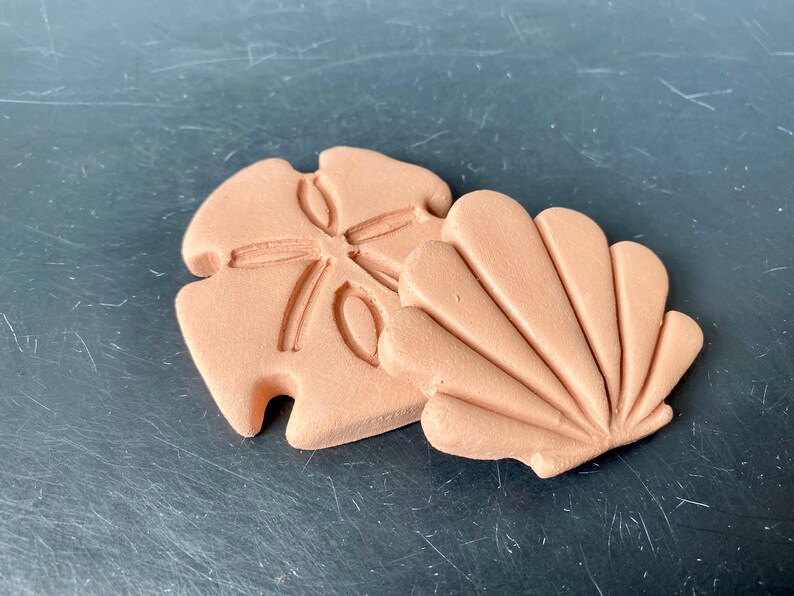 Sugar Saver/ Essential Oil Diffuser Scallop Shell Sugar | Etsy