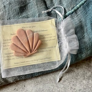 Sugar Saver/ Essential Oil Diffuser- Scallop Shell Sugar Keeper ...