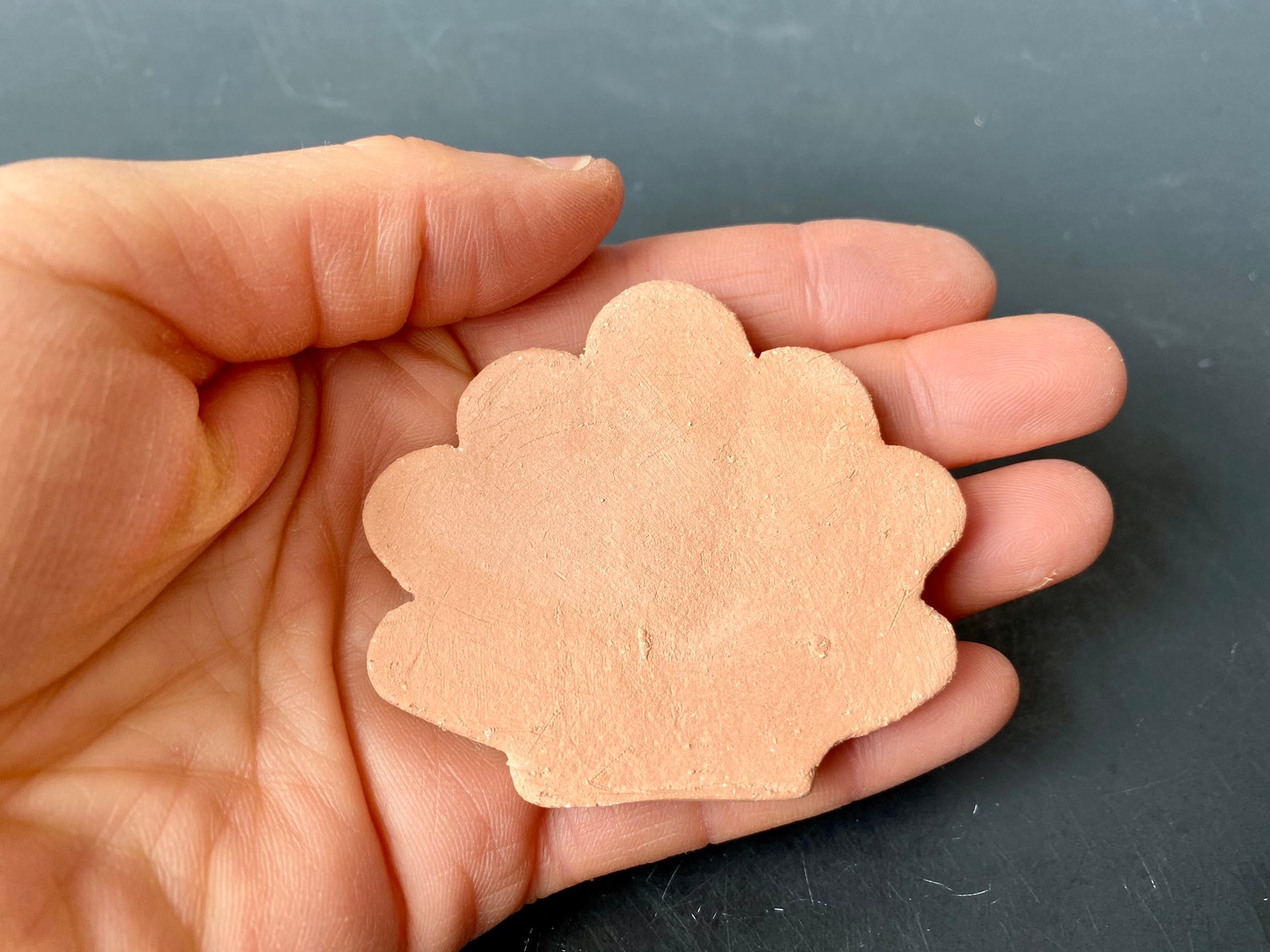 Sugar Saver/ Essential Oil Diffuser Scallop Shell Sugar | Etsy