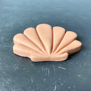 Sugar Saver/ Essential Oil Diffuser Scallop Shell Sugar | Etsy