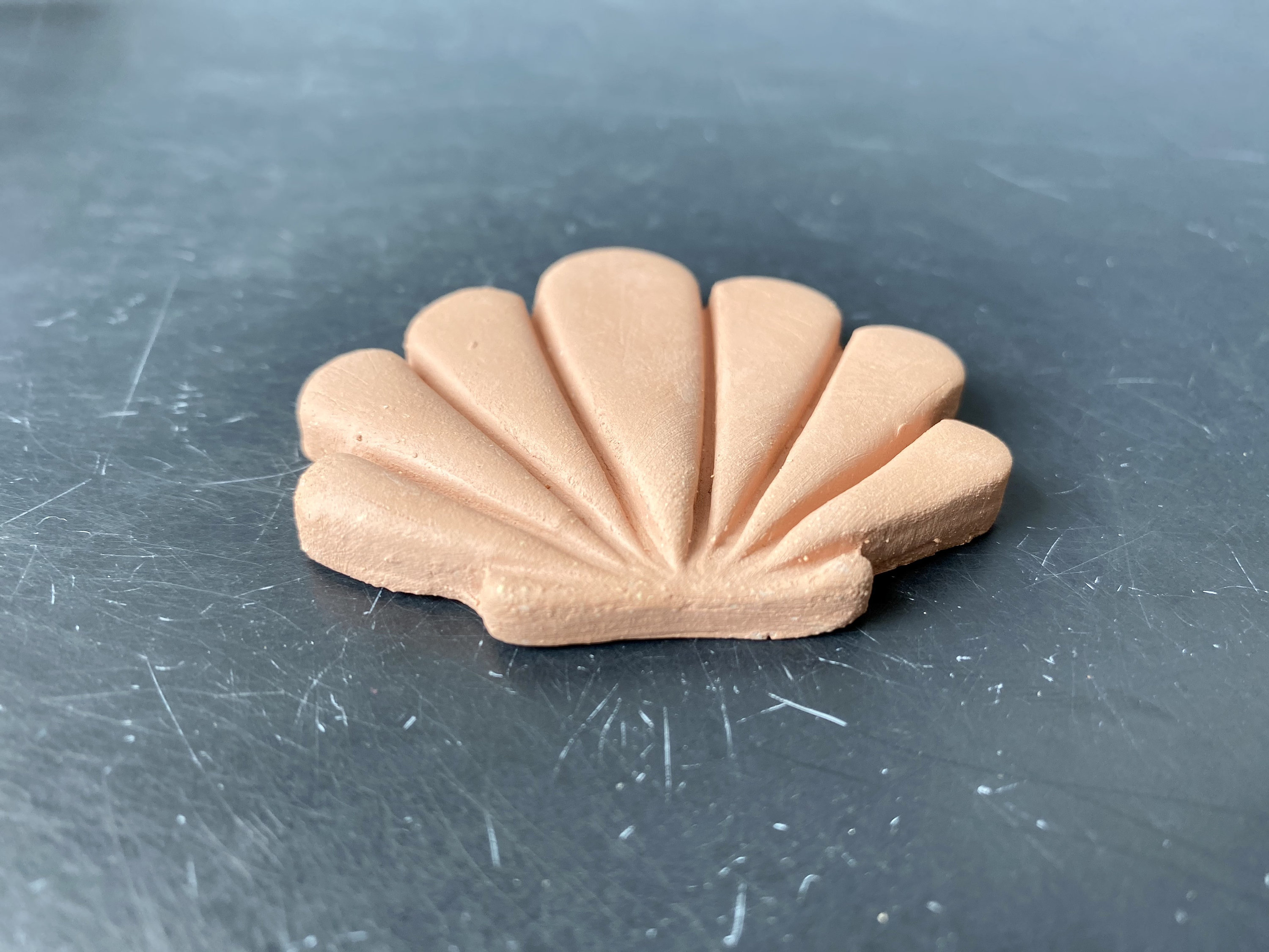 Sugar Saver/ Essential Oil Diffuser Scallop Shell Sugar | Etsy