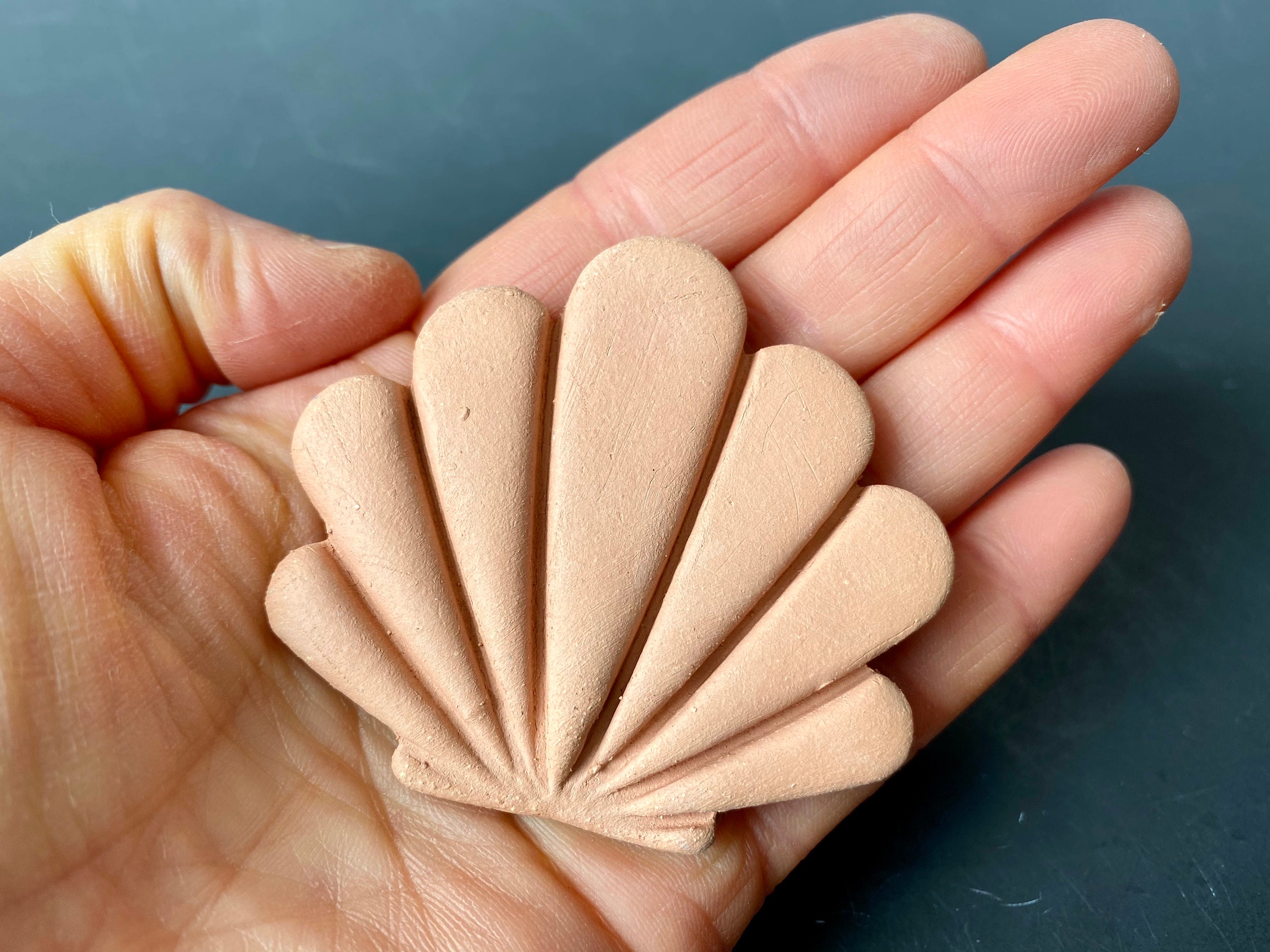 Sugar Saver/ Essential Oil Diffuser Scallop Shell Sugar | Etsy