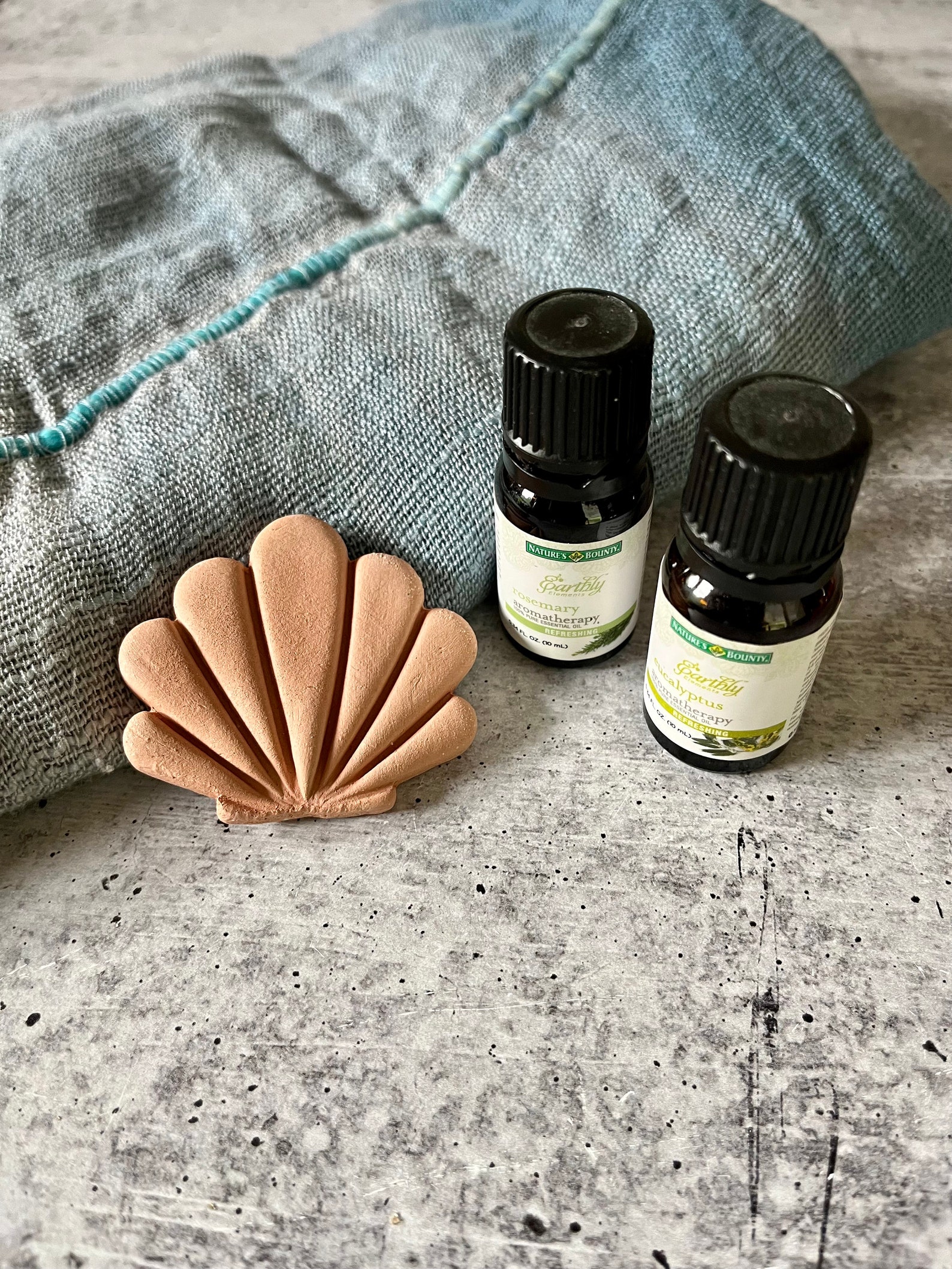 Sugar Saver/ Essential Oil Diffuser Scallop Shell Sugar - Etsy