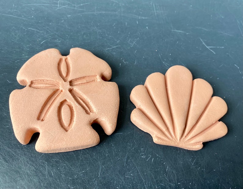 Sugar Saver/ Essential Oil Diffuser Scallop Shell Sugar | Etsy