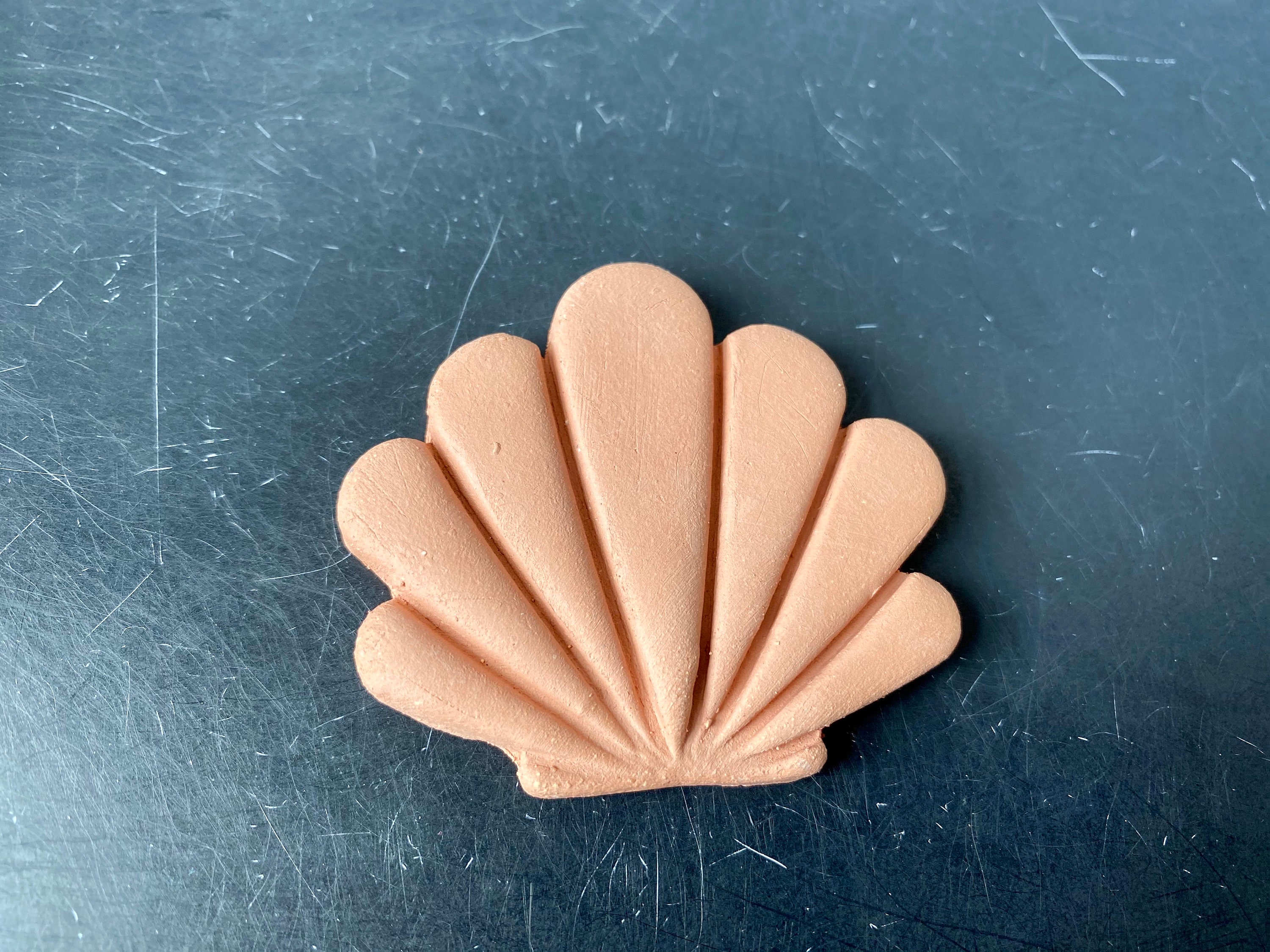 Sugar Saver/ Essential Oil Diffuser Scallop Shell Sugar | Etsy