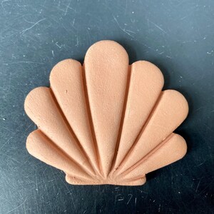 Sugar Saver/ Essential Oil Diffuser Scallop Shell Sugar | Etsy