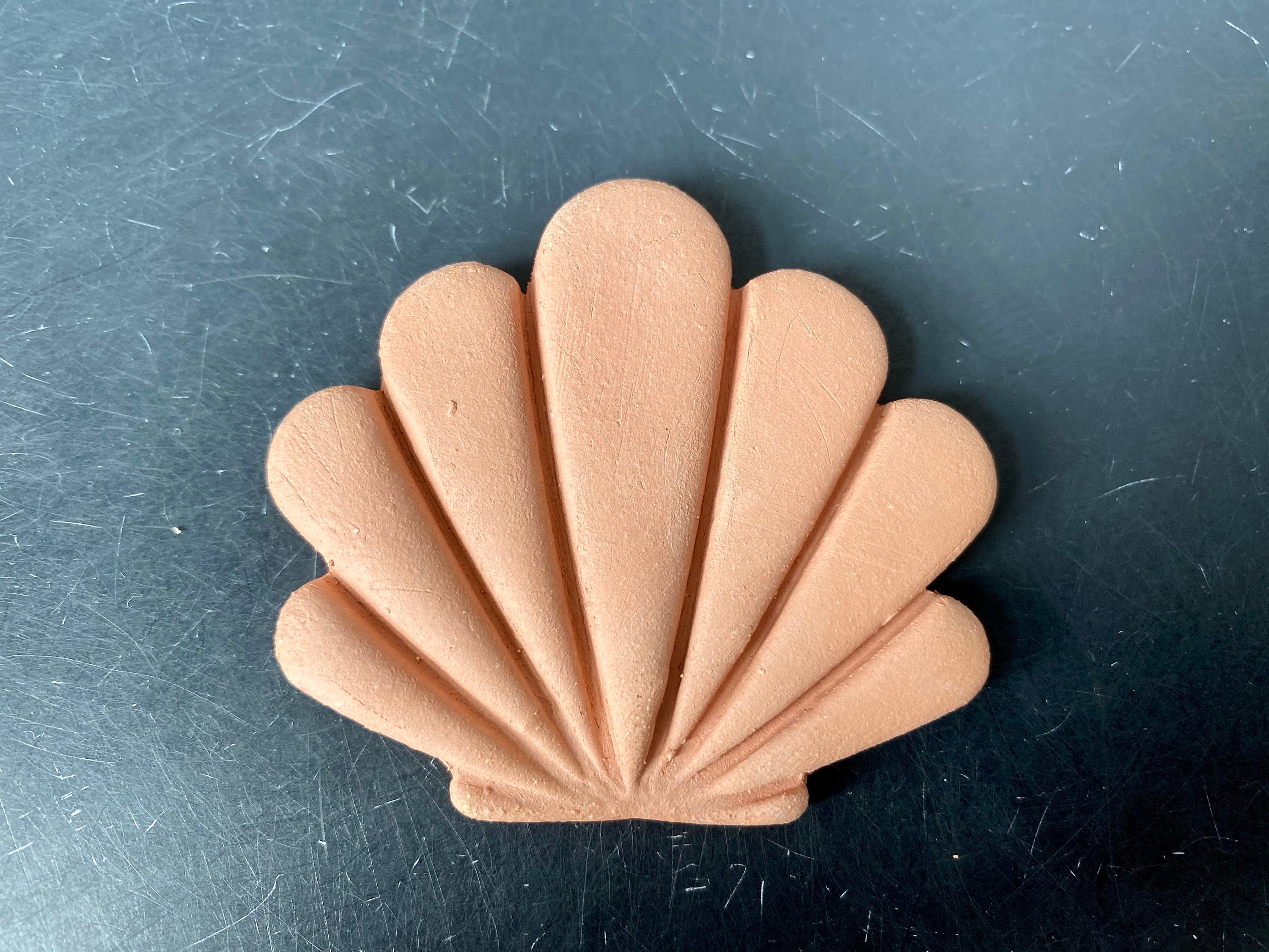 Sugar Saver/ Essential Oil Diffuser Scallop Shell Sugar | Etsy