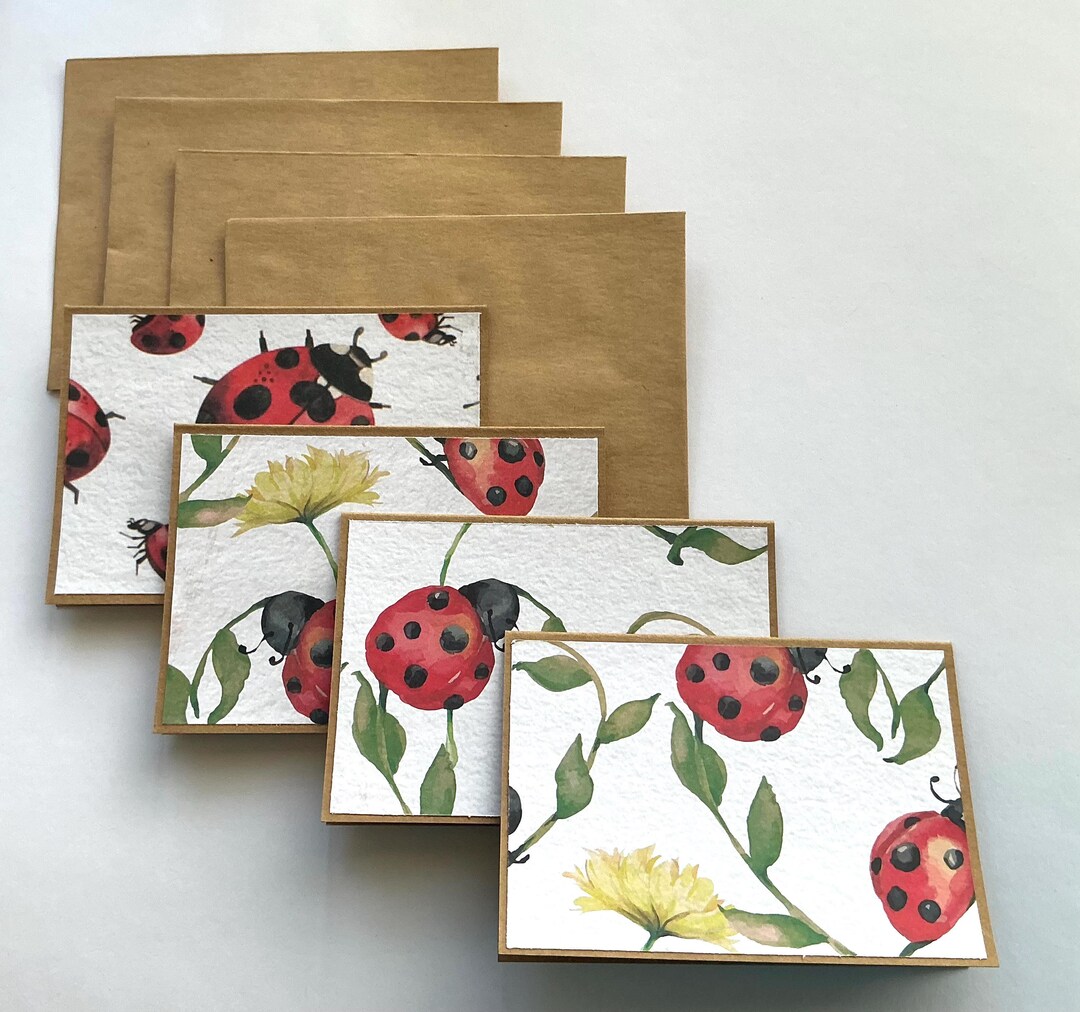 Ladybird Cards and Envelopes, Kraft Gift Card Set, Blank, Stationery ...