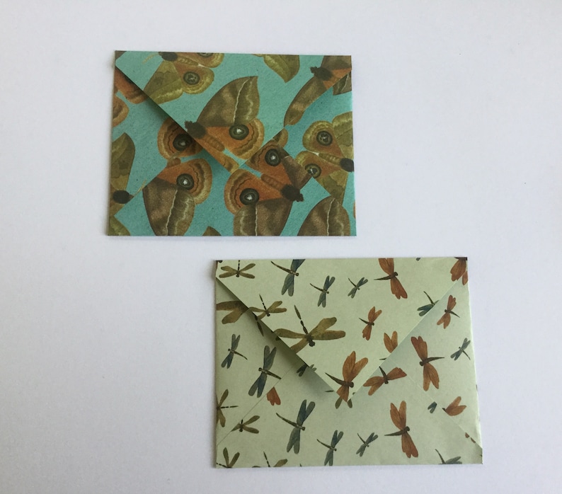 Insect Envelopes Bug Stationery Snail Mail Happy Mail - Etsy