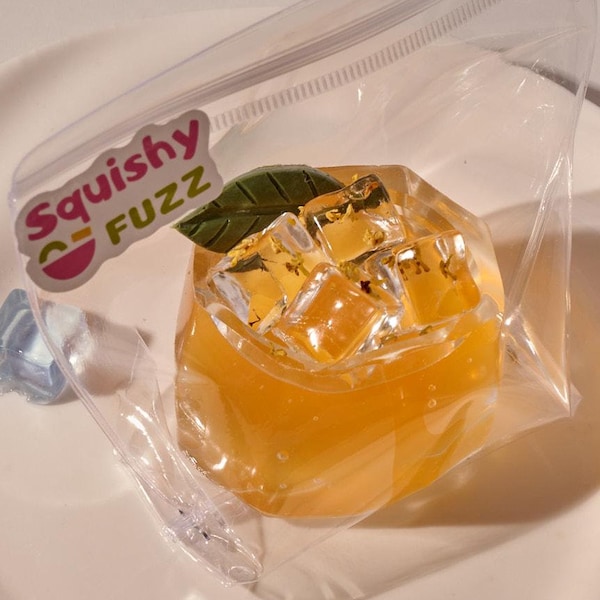 Ice Cube Squishy - Etsy