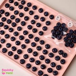 Realistic Blueberry Taba Squishy Toy, Blueberry Squishy Keychain ...