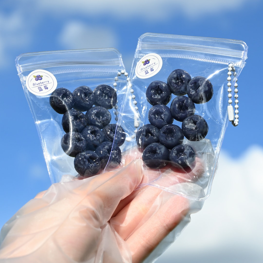 Realistic Blueberry Taba Squishy Toy, Blueberry Squishy Keychain ...