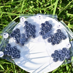 Realistic Blueberry Taba Squishy Toy, Blueberry Squishy Keychain ...